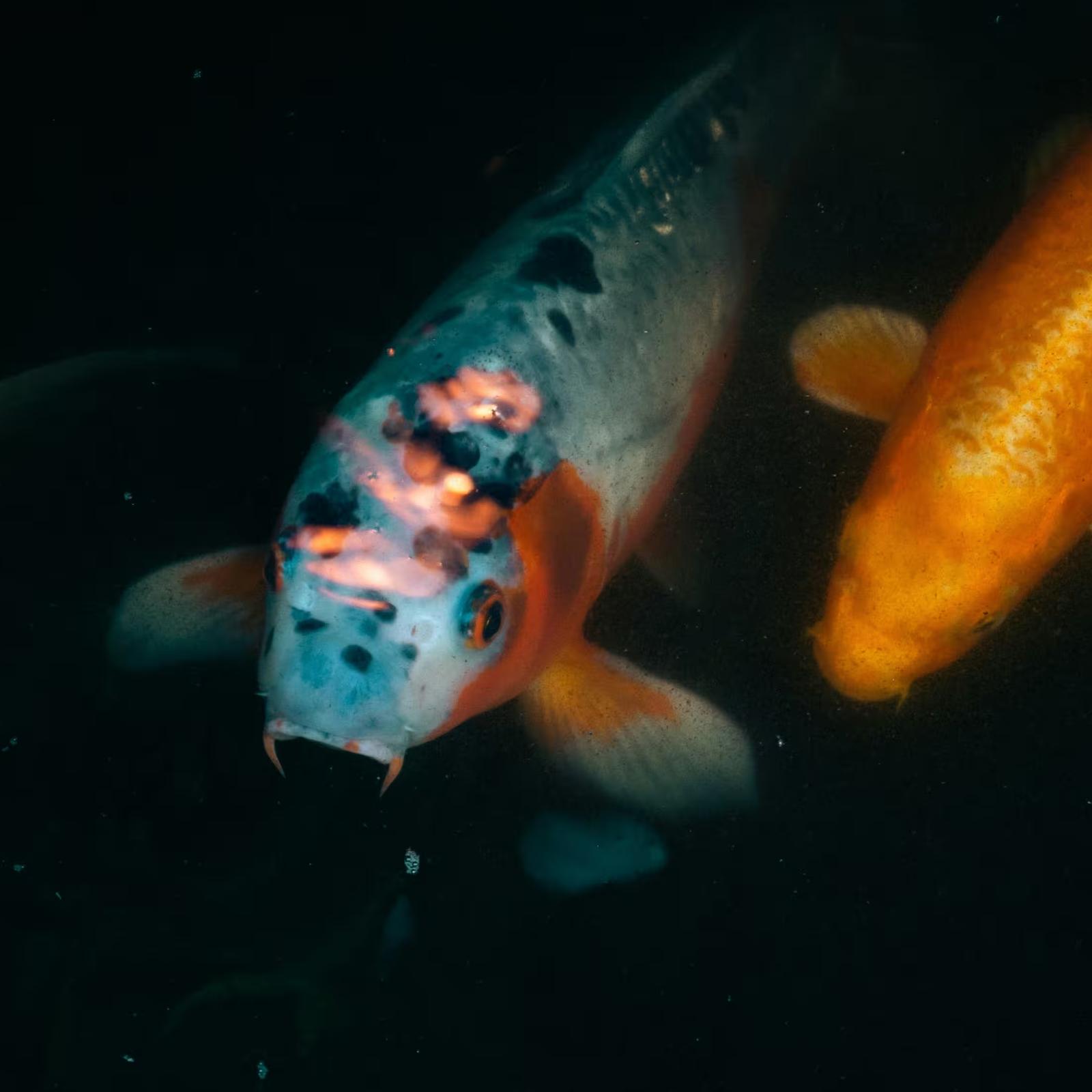 LCAとは？ライフサイクルアセスメントの概念と目的を初学者にも解説【LCA入門 1-1】 | ALCA MAGAZINE